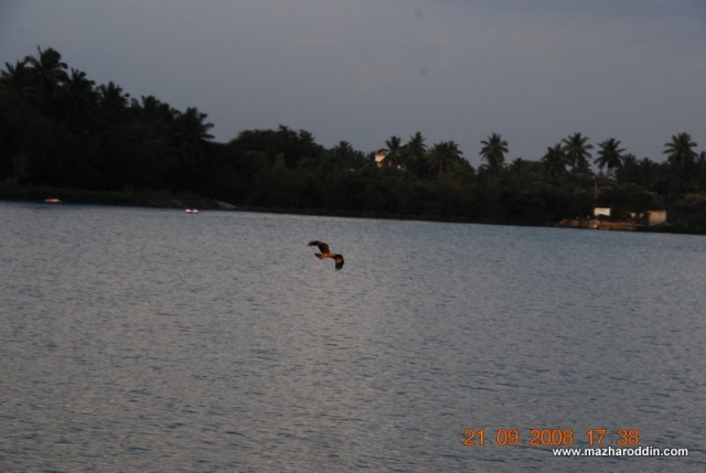 Lumbini park / gardens, Bangalore | Mazharoddin's Photography