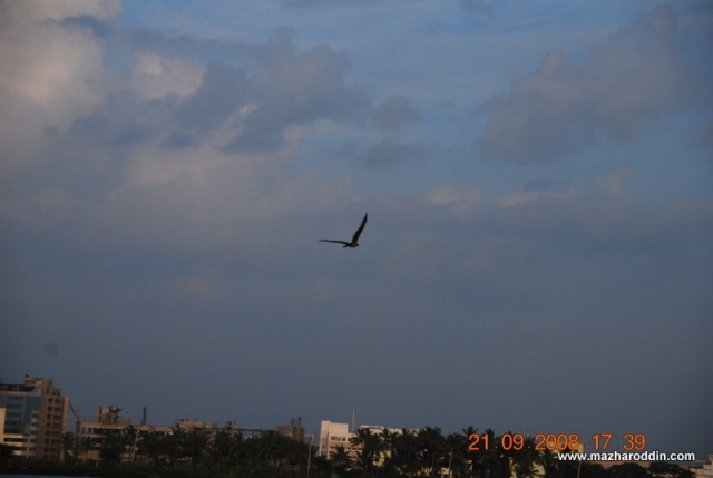 Lumbini park / gardens, Bangalore | Mazharoddin's Photography
